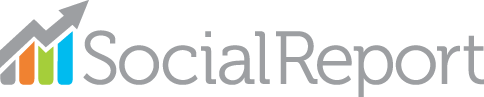 SocialReport.com, the Google Analytics for Social Networks - Young Upstarts